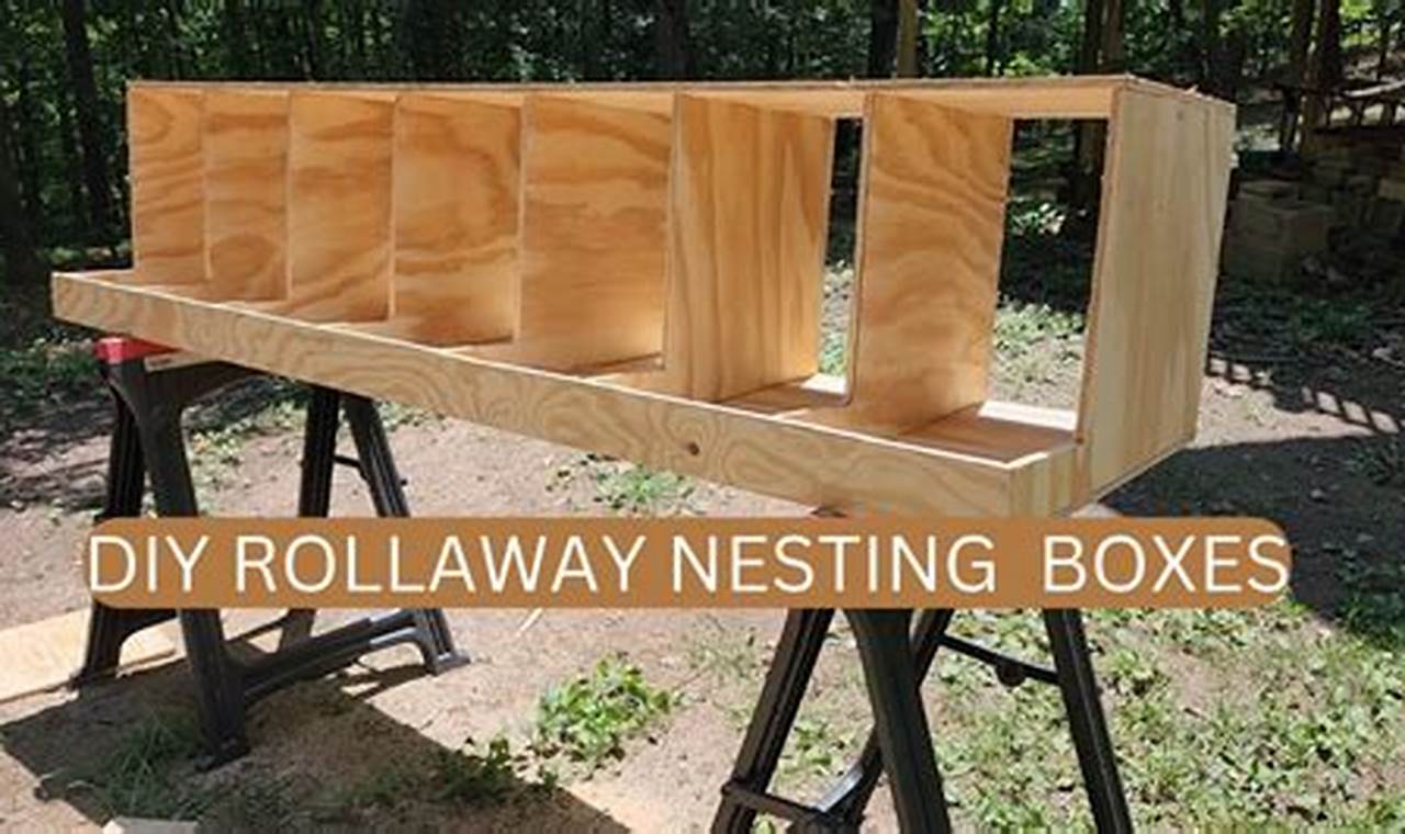 Easy DIY Roll Away Nest Box Plans: Build Yours Today!