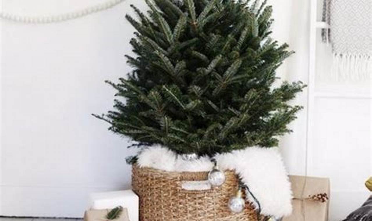 Easy DIY Christmas Tree Base Ideas: Homemade & Sturdy
