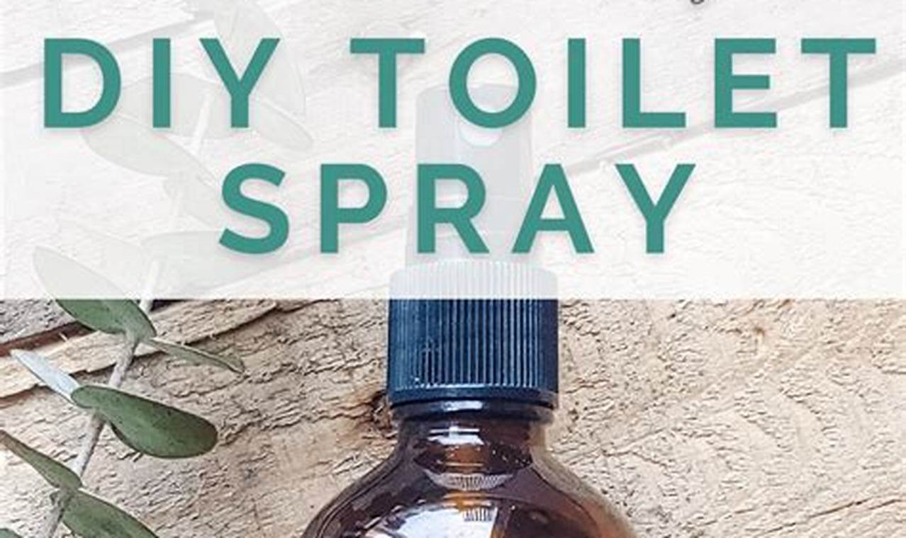 Easy DIY Toilet Spray: Natural Odor Control