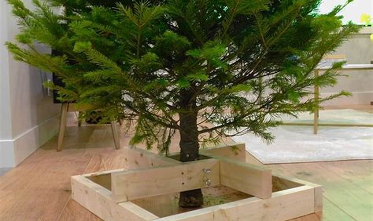 Easy DIY Christmas Tree Stand: Build Yours!