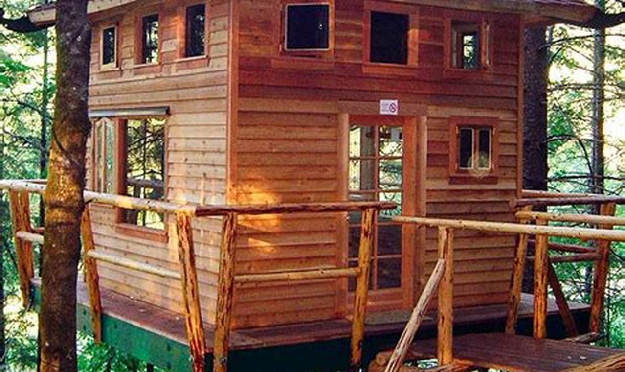 Build a Dream DIY Tree House Escape Today!