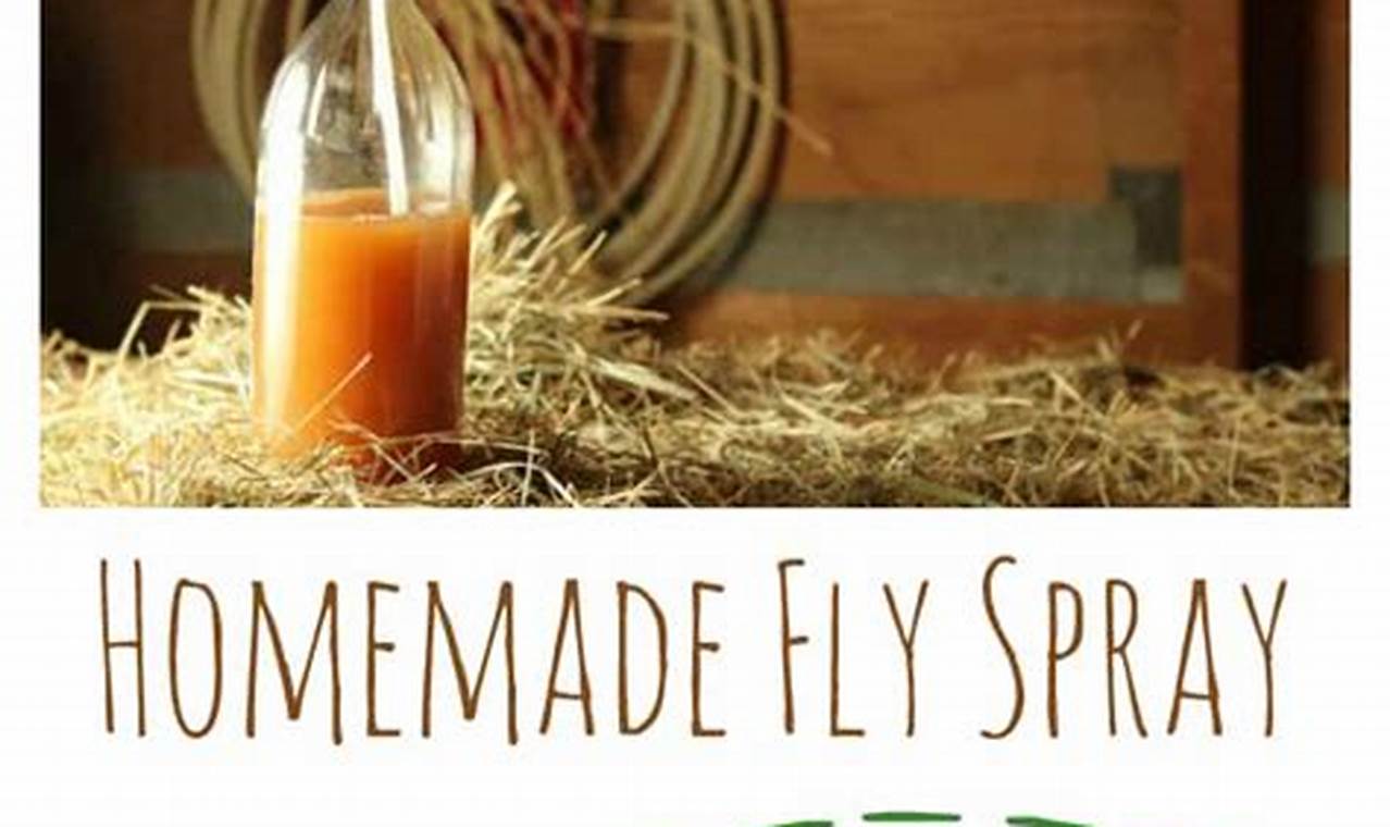 Easy DIY Fly Spray: Natural & Effective