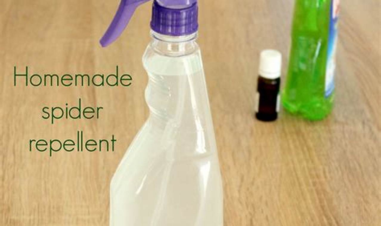 Easy DIY Spider Spray: Natural & Effective Solutions