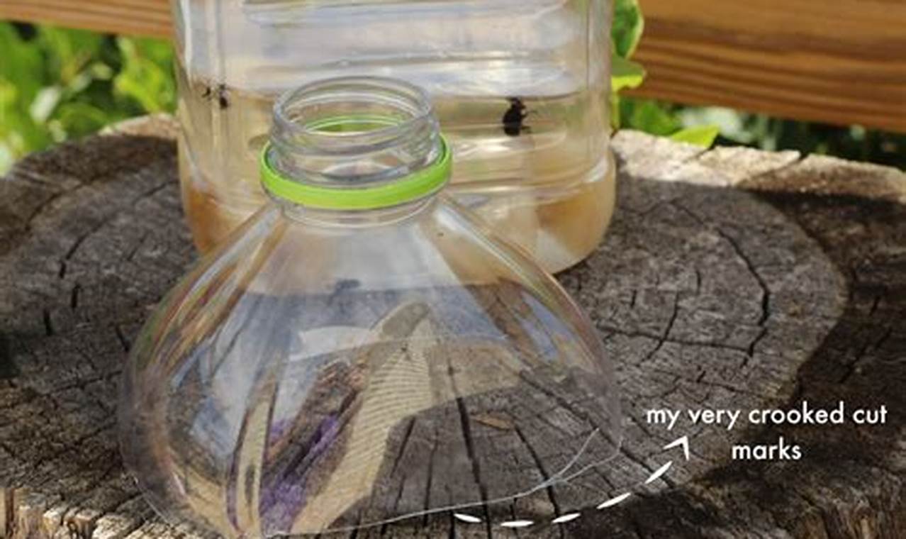 Easy Fly Traps Outdoor DIY: Simple Pest Solutions