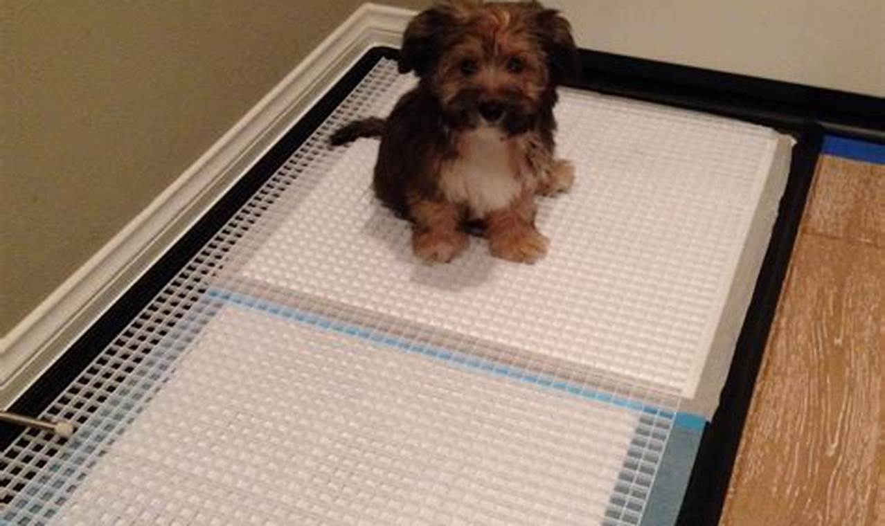DIY Dog Potty Tray: Build Your Own Indoor Solution