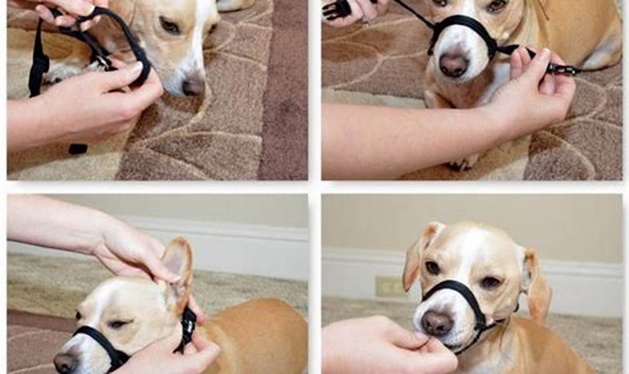 Easy DIY Dog Muzzle: Build a Safe Dog Muzzle Today!
