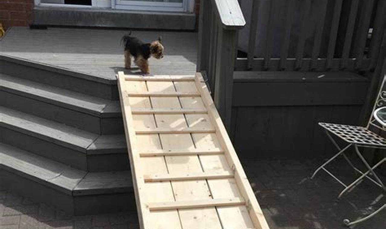 Easy DIY Dog Ramp for Stairs: Help Your Pup!
