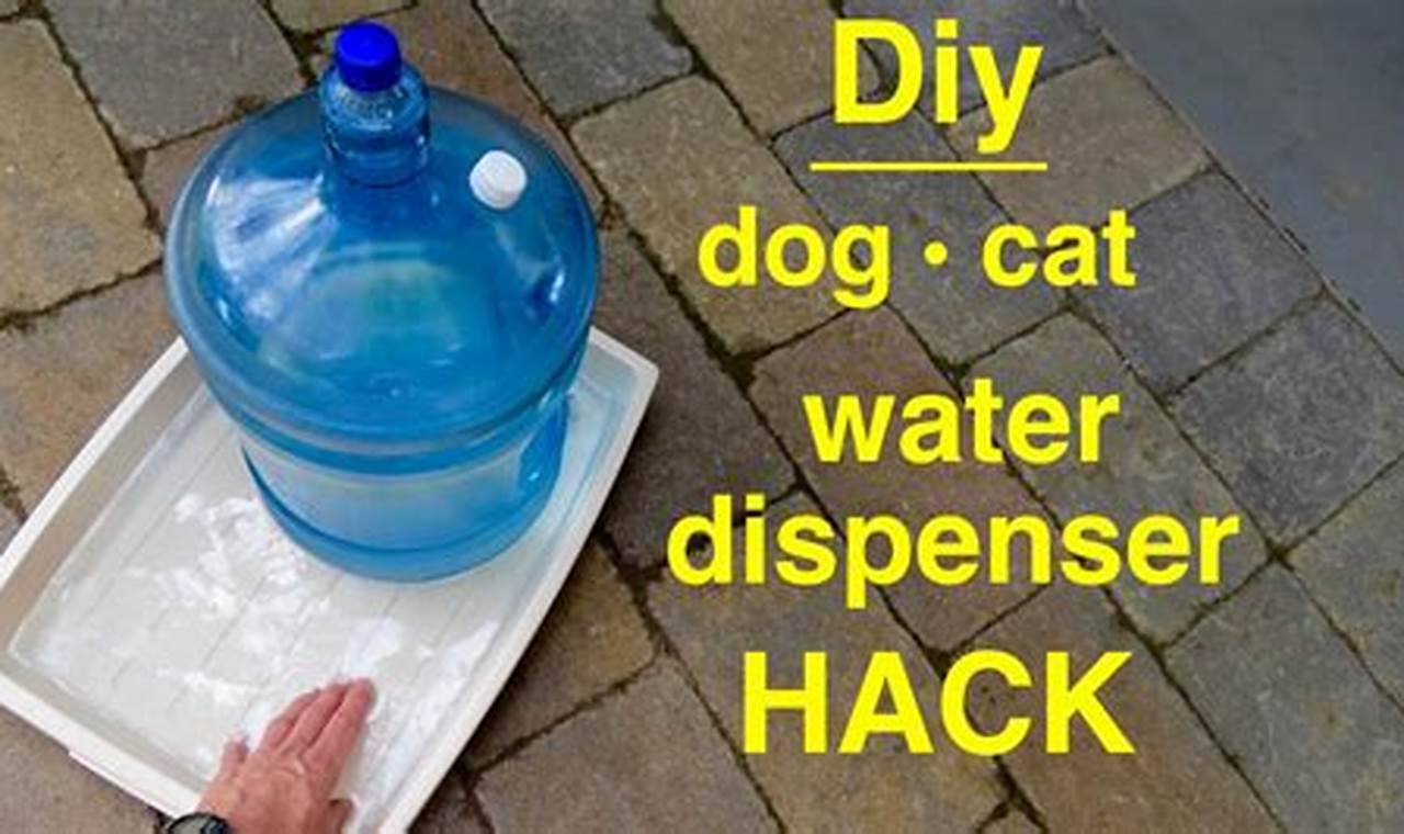 Easy DIY Dog Water Dispenser Ideas for Happy Paws