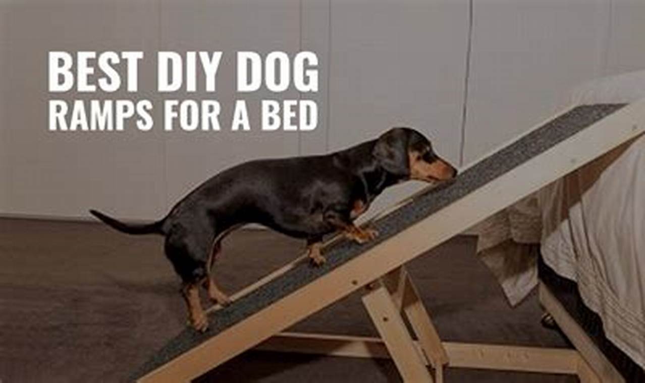 DIY Dog Ramp Plans: Easy Ramp Projects for Dogs!