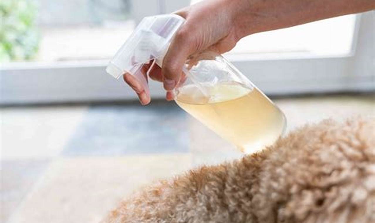 Easy DIY Itch Relief for Dogs: At-Home Soothers!
