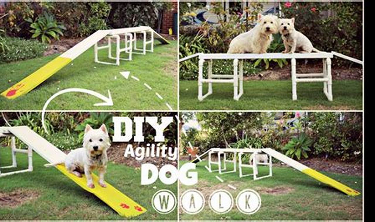 Build Your Own: Dog Agility Equipment DIY Guide