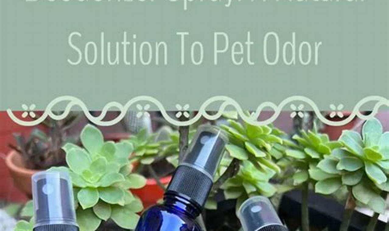 Easy DIY Dog Deodorizer: Fresh Smells Naturally!