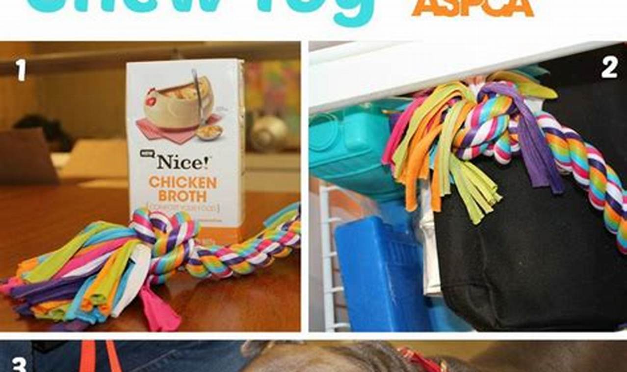 Easy DIY Dog Toy Ideas: Fun, Safe & Cheap!