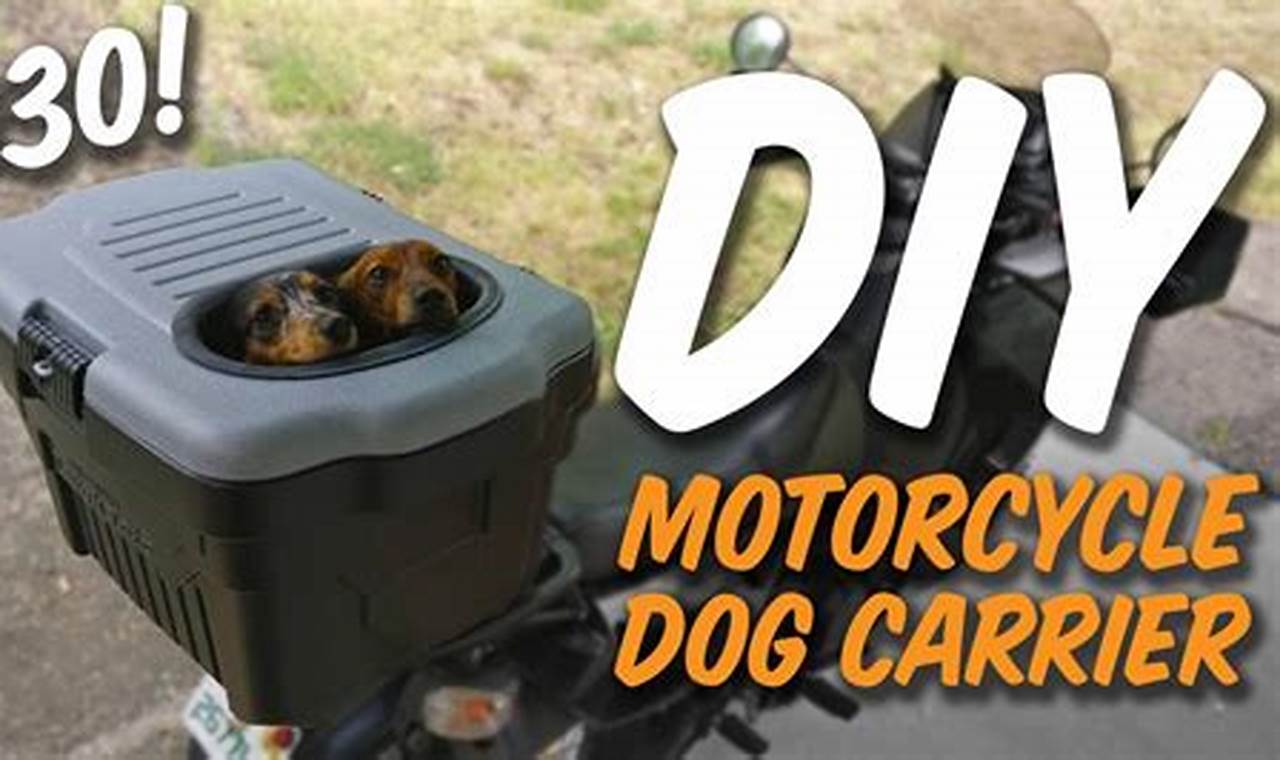 DIY Dog Carrier: Motorcycle Adventures On a Budget!