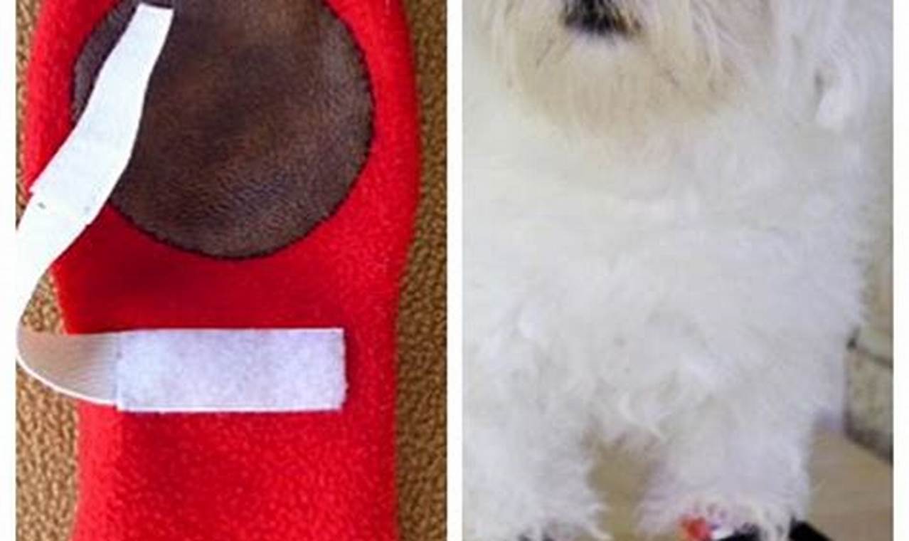 Easy DIY Dog Shoes: Protect Paws At Home!