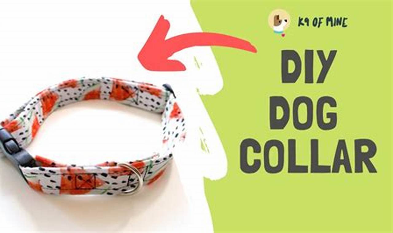 Easy DIY Dog E-Collar: Protect Your Pup Today!
