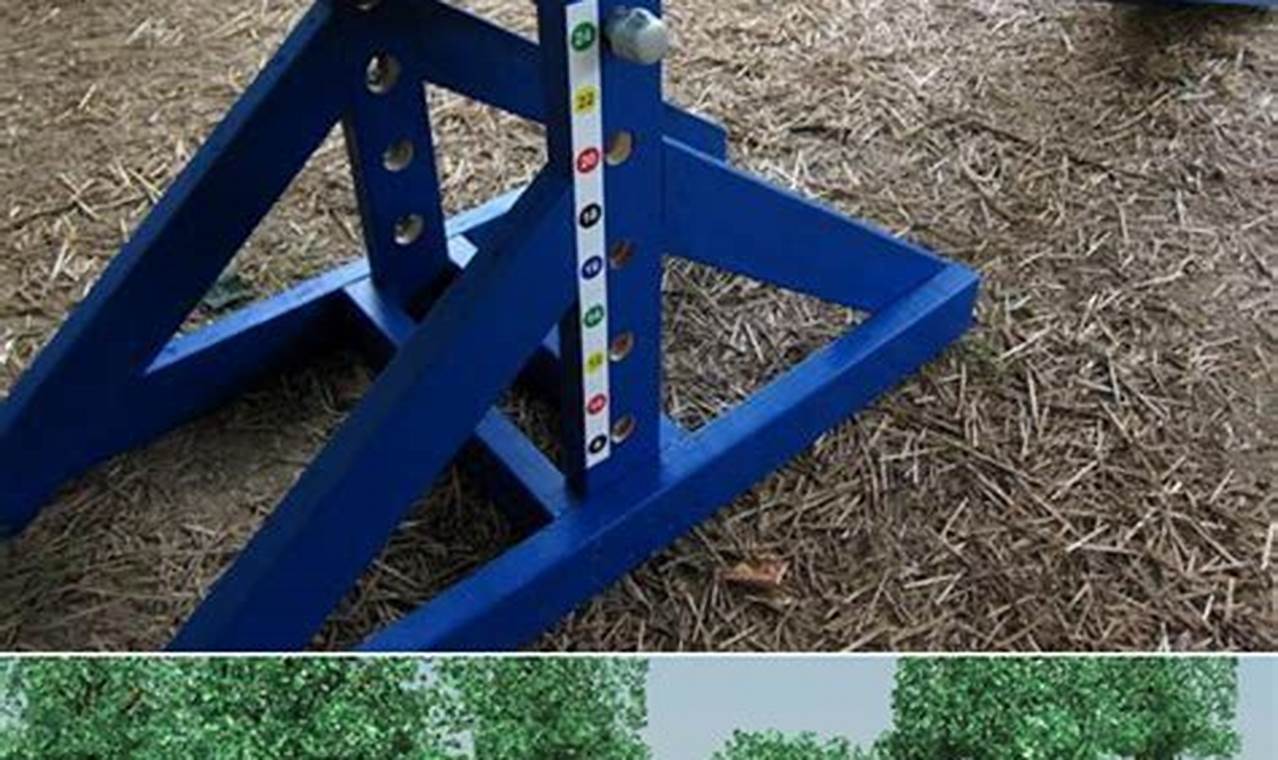 Easy Agility Course for Dogs DIY: Build It Today!
