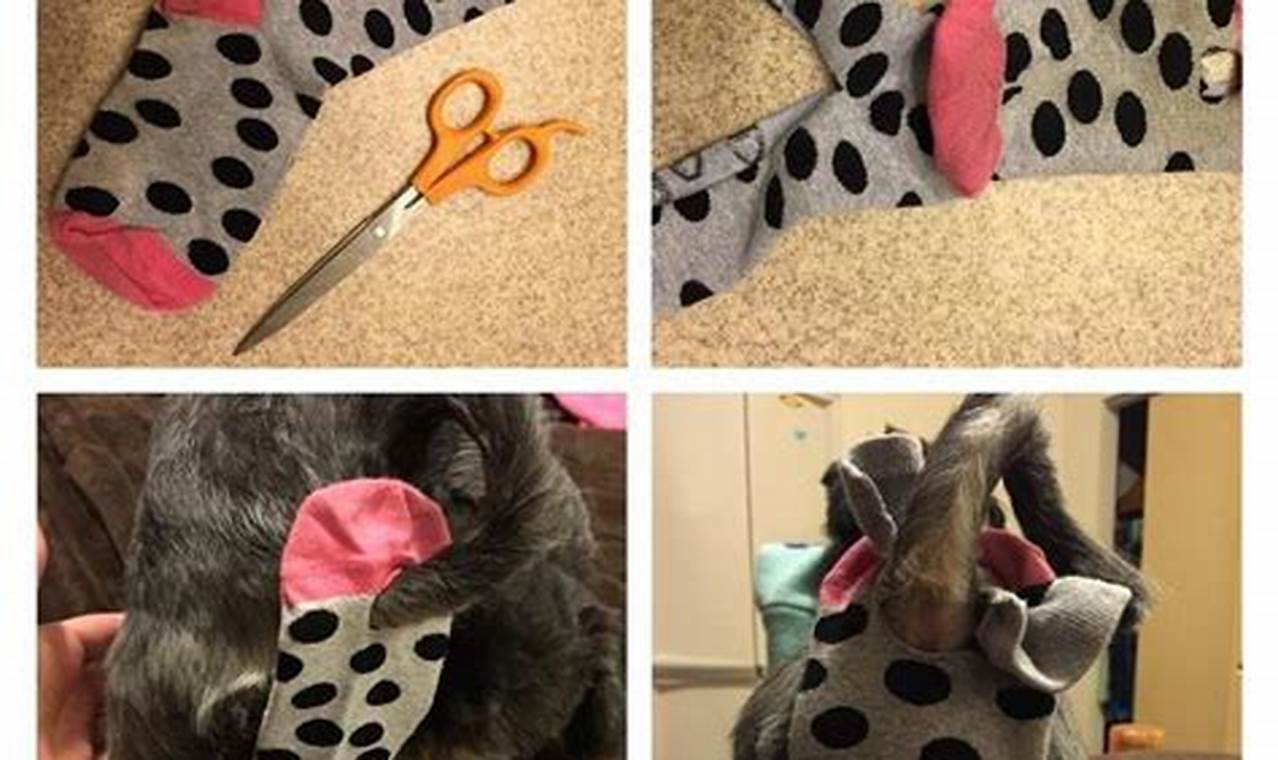 Easy DIY Dog Diaper Solutions: Homemade & Effective