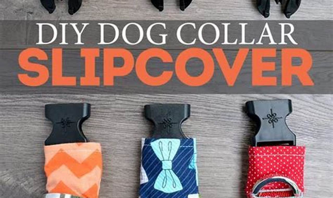DIY Collar Dog: Easy, Safe & Stylish [Guide]