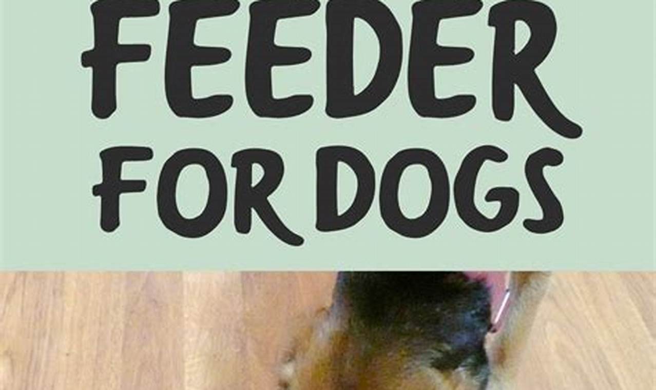 Easy DIY Slow Feeder for Dogs: Benefits & Plans