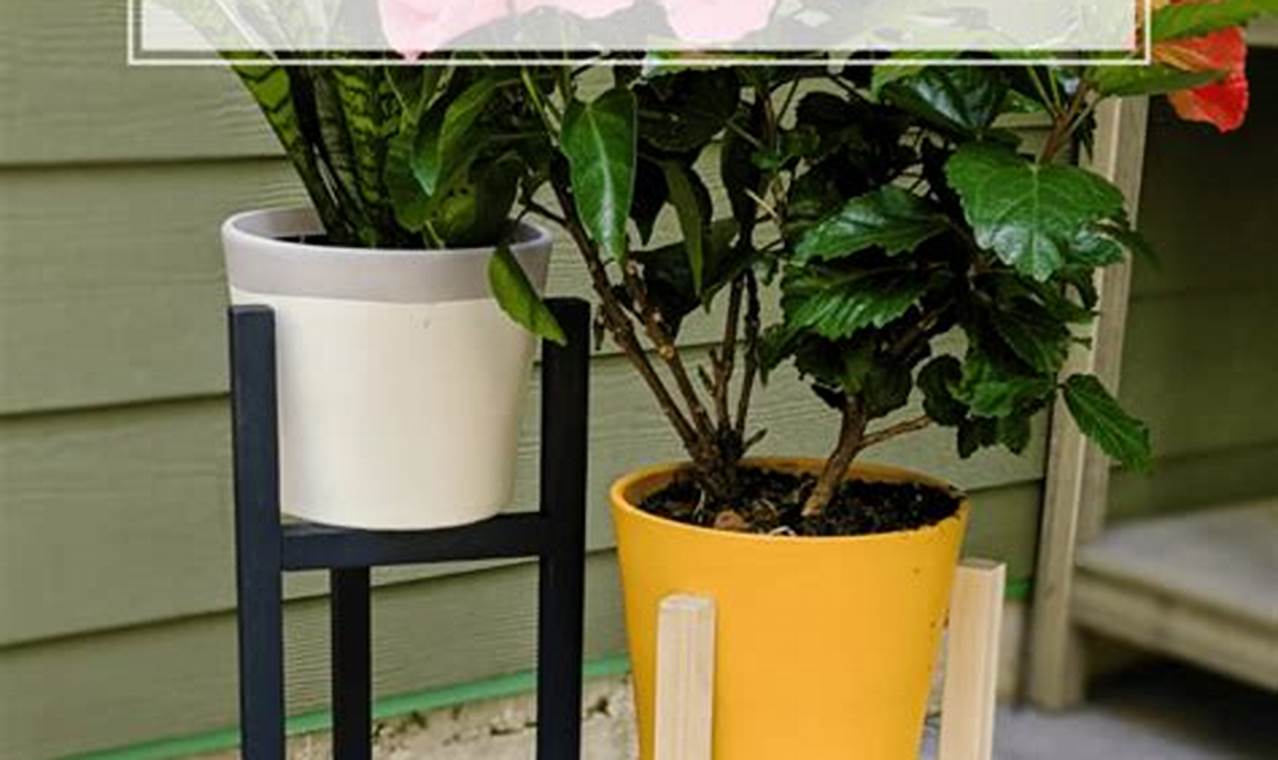 Easy DIY Flower Stand Plans: Build Your Own Display!