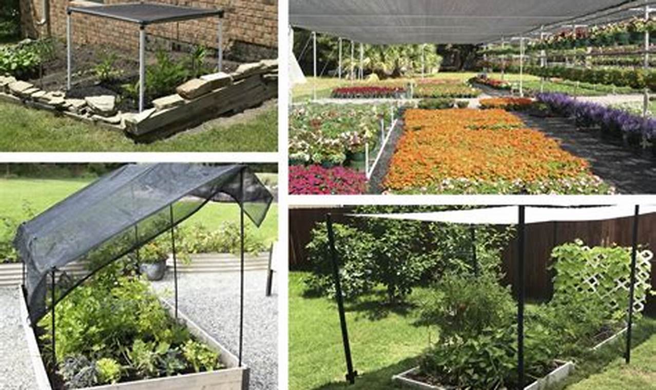 Cool DIY Garden Shade Ideas on a Budget: Designs & Tips