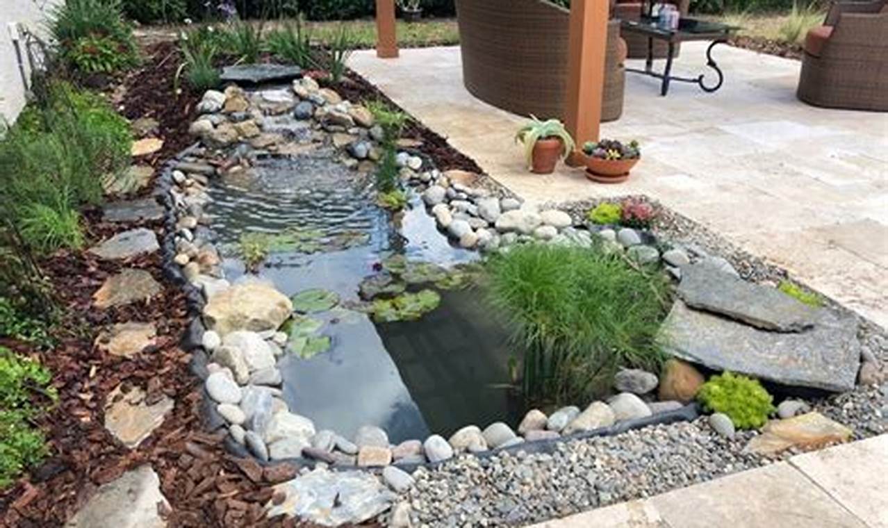 Easy DIY Pond Kit Setup: Build Your Dream Pond Now!