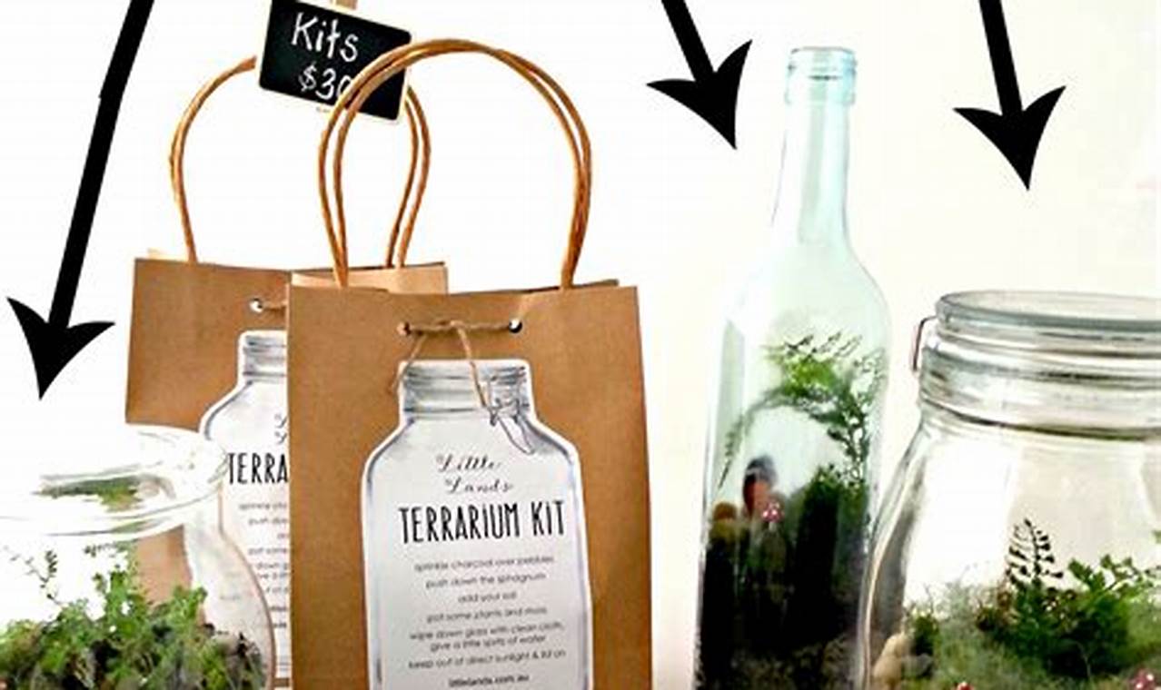 Build Stunning Miniature Worlds with DIY Terrarium Kits!