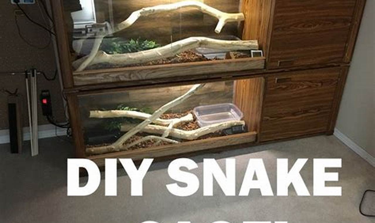 Build a Cheap DIY Snake Enclosure: Easy Reptile Habitat