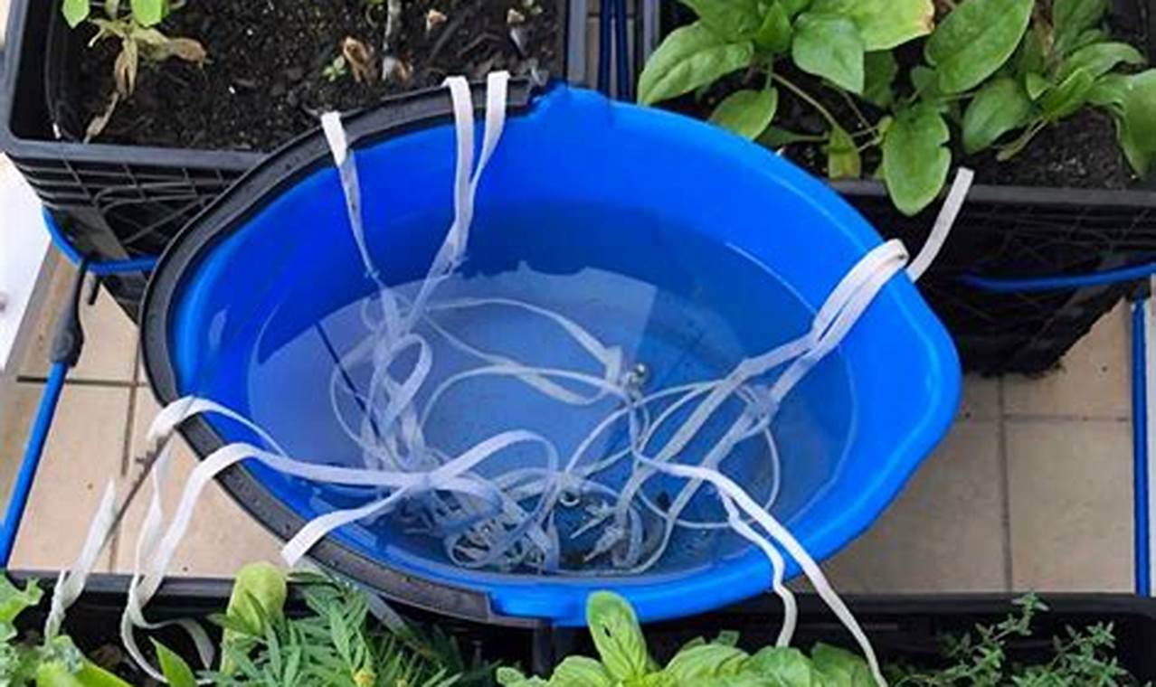 Easy DIY Irrigation System: Save Water & Money!