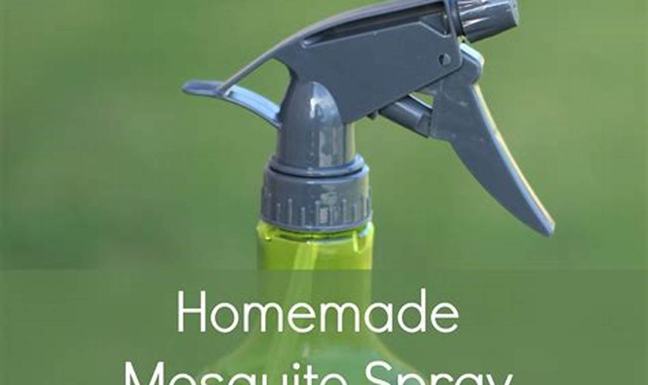 Easy DIY Mosquito Control: Tips & Tricks