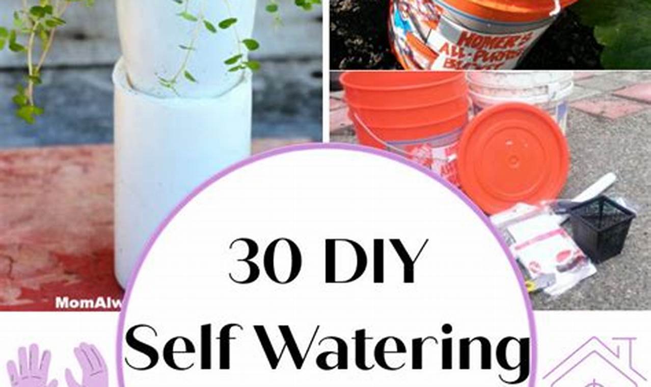 Easy DIY Self Watering Planter: Simple Guide
