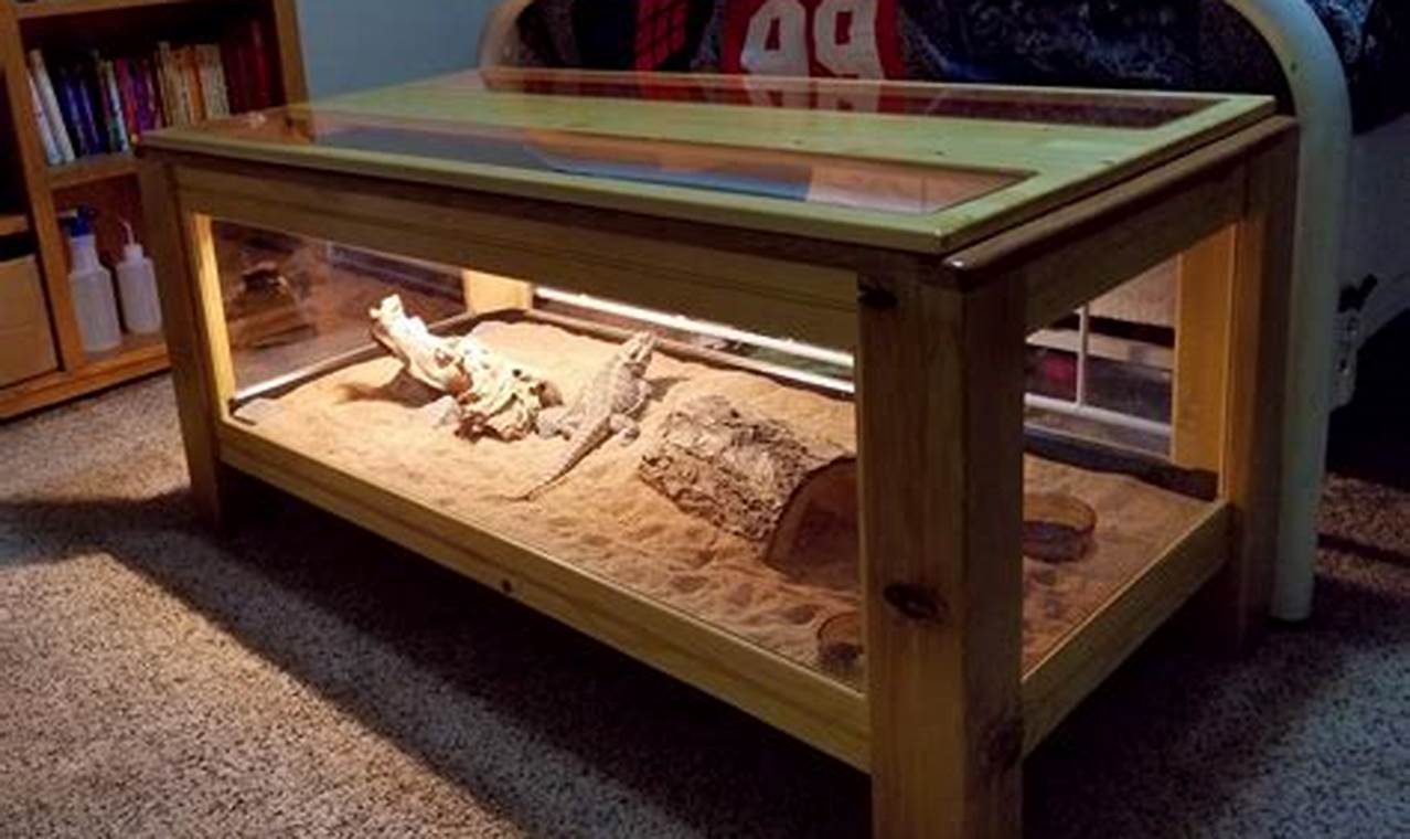 Build A Better Diy Bearded Dragon Enclosure Tips
