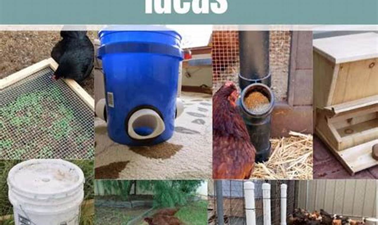 Easy DIY Chook Feeder Plans: Save Money & Build Now!