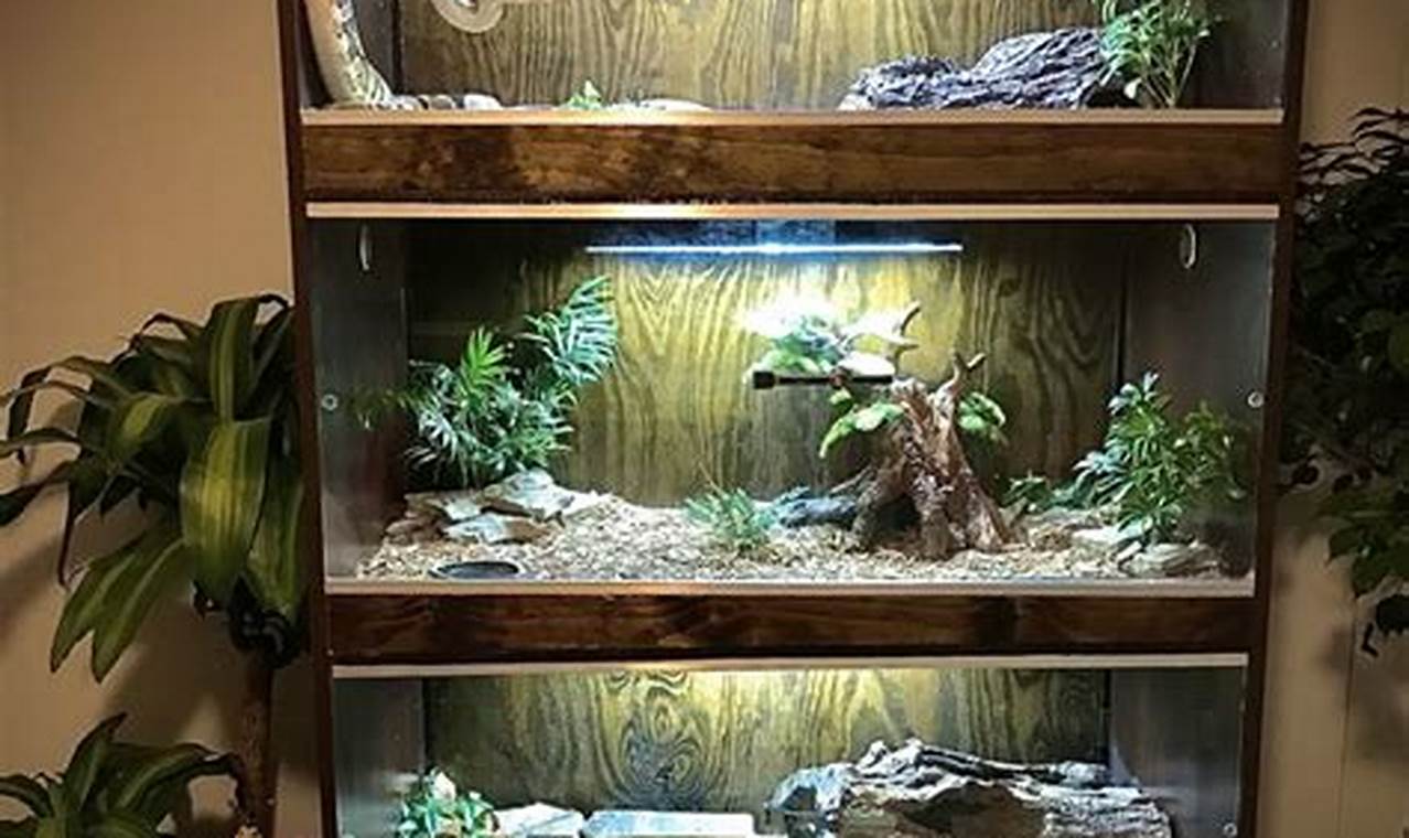 Build Your Own: DIY Reptile Enclosure Project Ideas