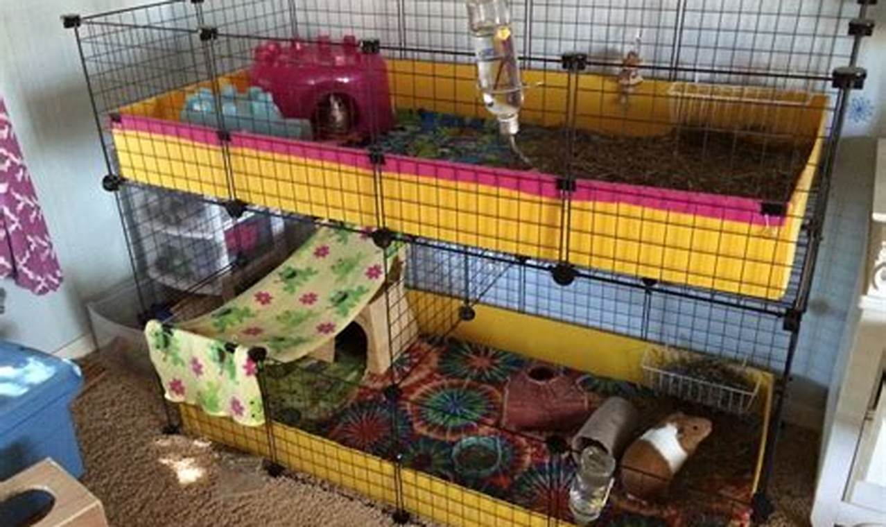 Build Your Dream: DIY Cavy Cage Ideas & Guide
