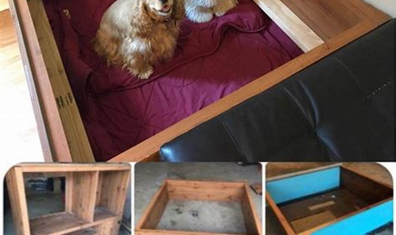 Build a Safe DIY Whelping Box: Plans & Tips