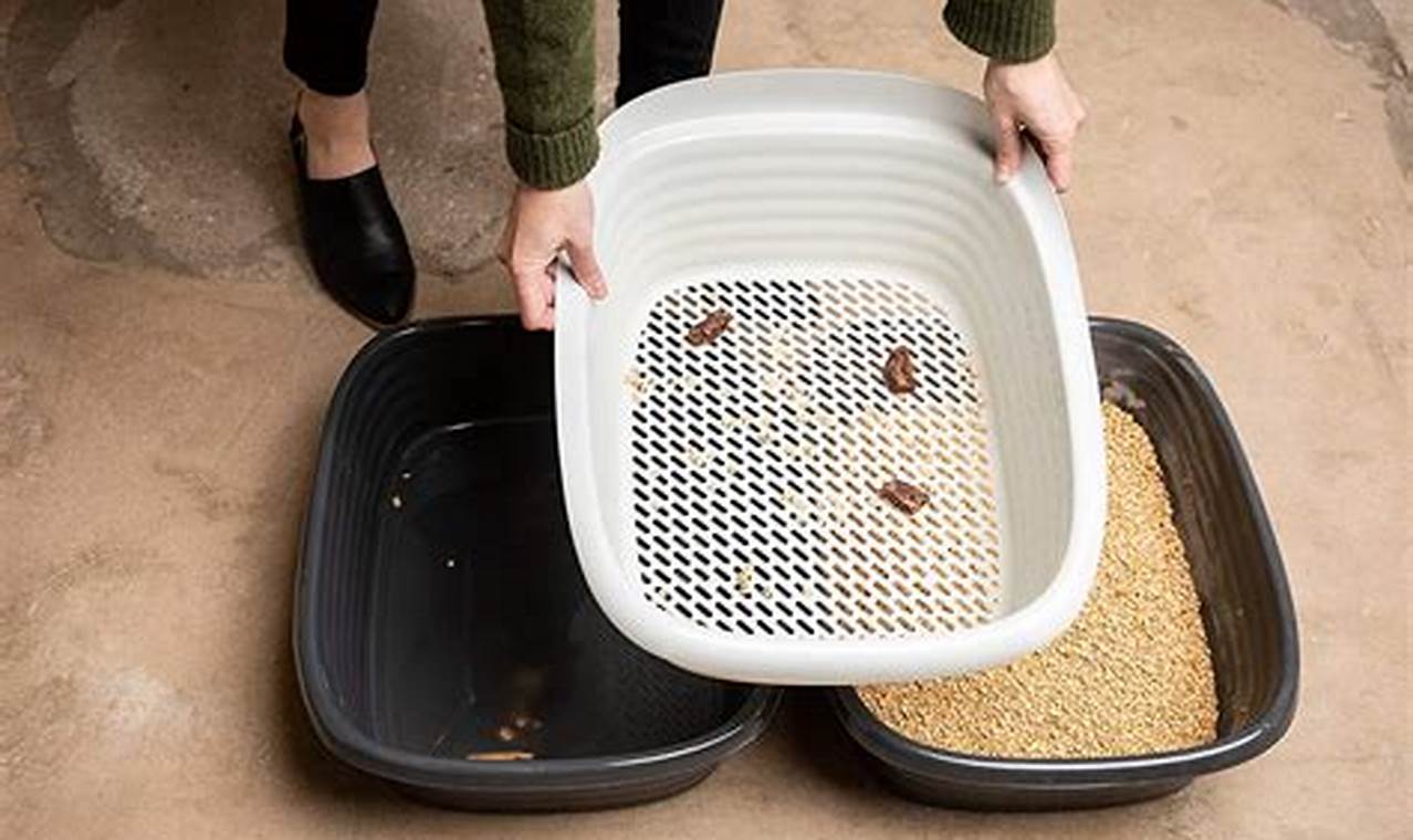 Easy DIY Cat Litter Sifter: Save Money & Keep it Clean!
