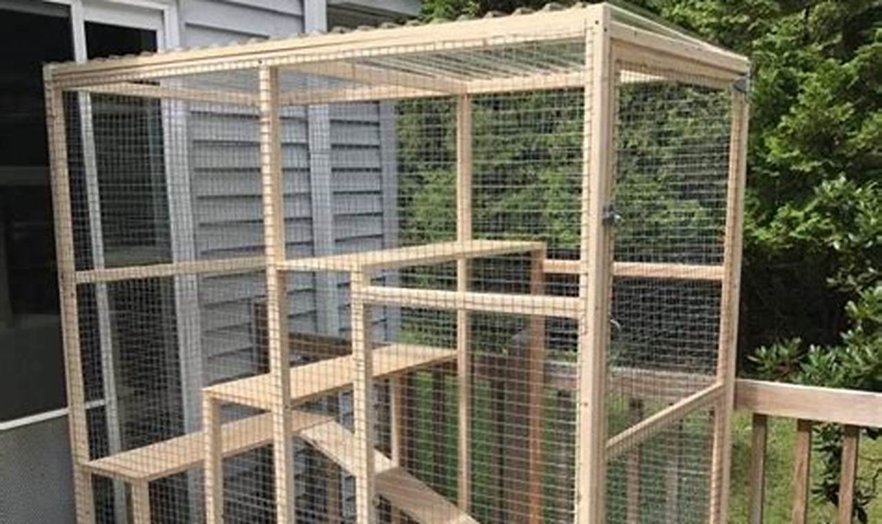Build a Safe DIY Cat Cage: Plans & Ideas