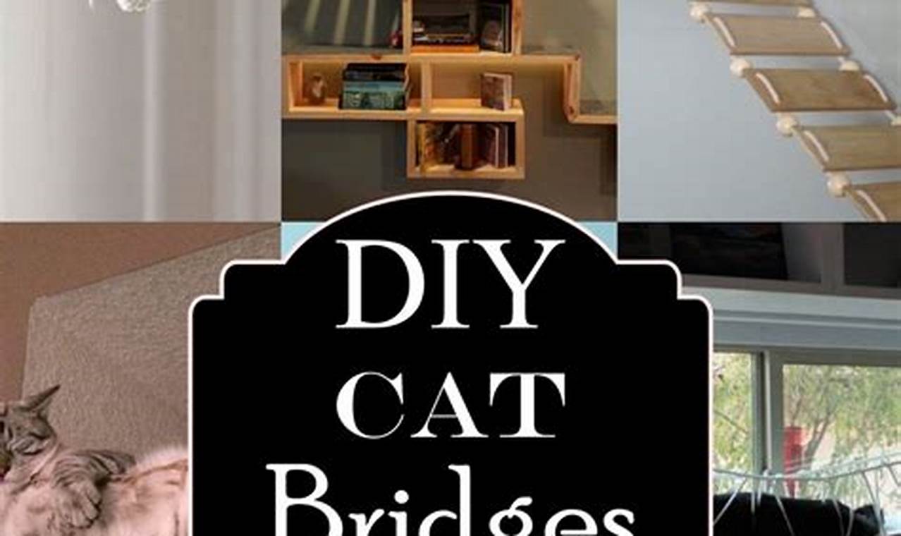 Build a DIY Cat Bridge: Plans & Ideas for Felines