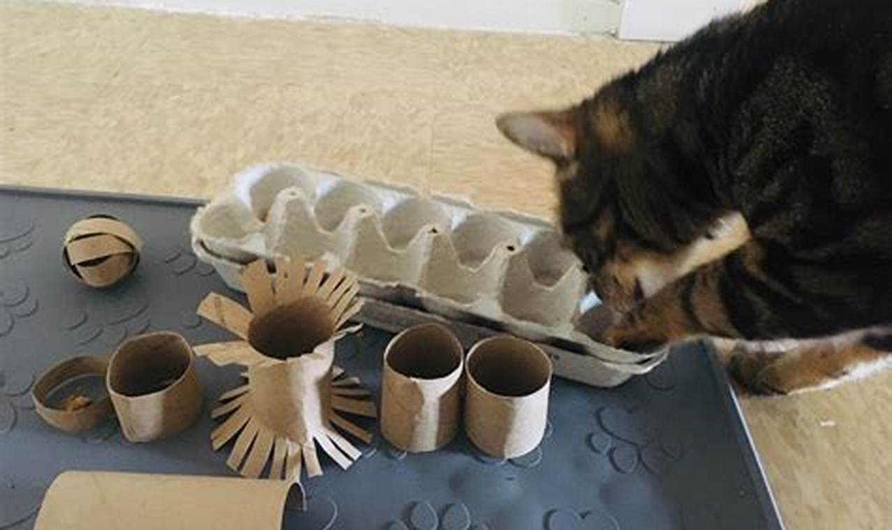 Easy Cat Enrichment DIY Ideas: Enrich Your Kitty!