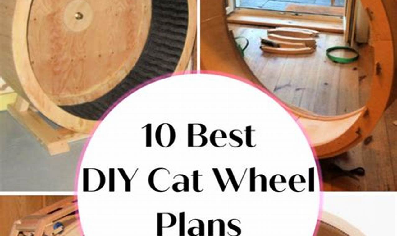 Build Your Own: DIY Cat Wheel for Active Cats!