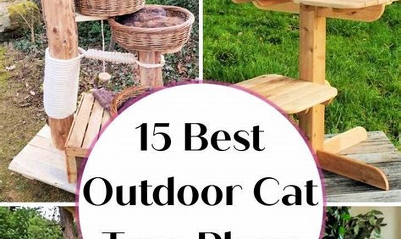 Build a Safe DIY Outdoor Cat Tree Paradise
