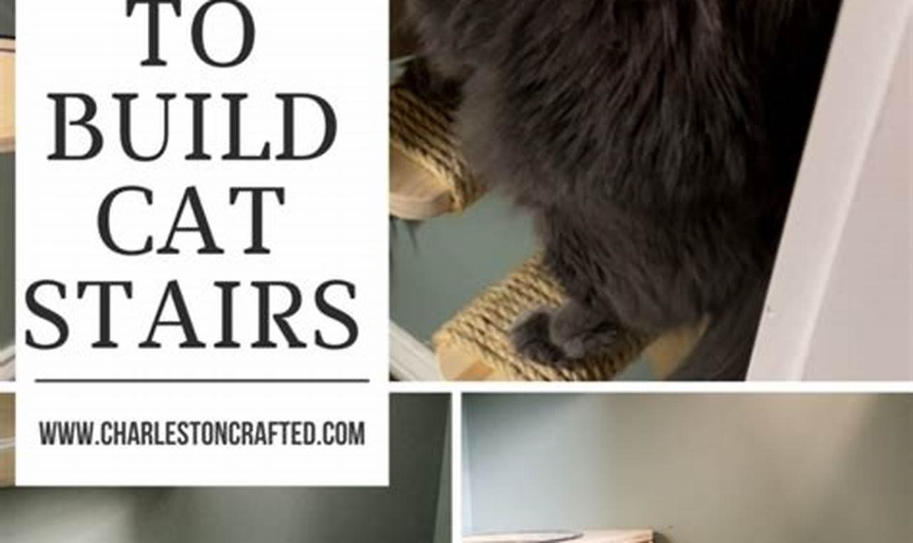 Build Your Cat Steps: DIY Project Ideas for Happy Cats