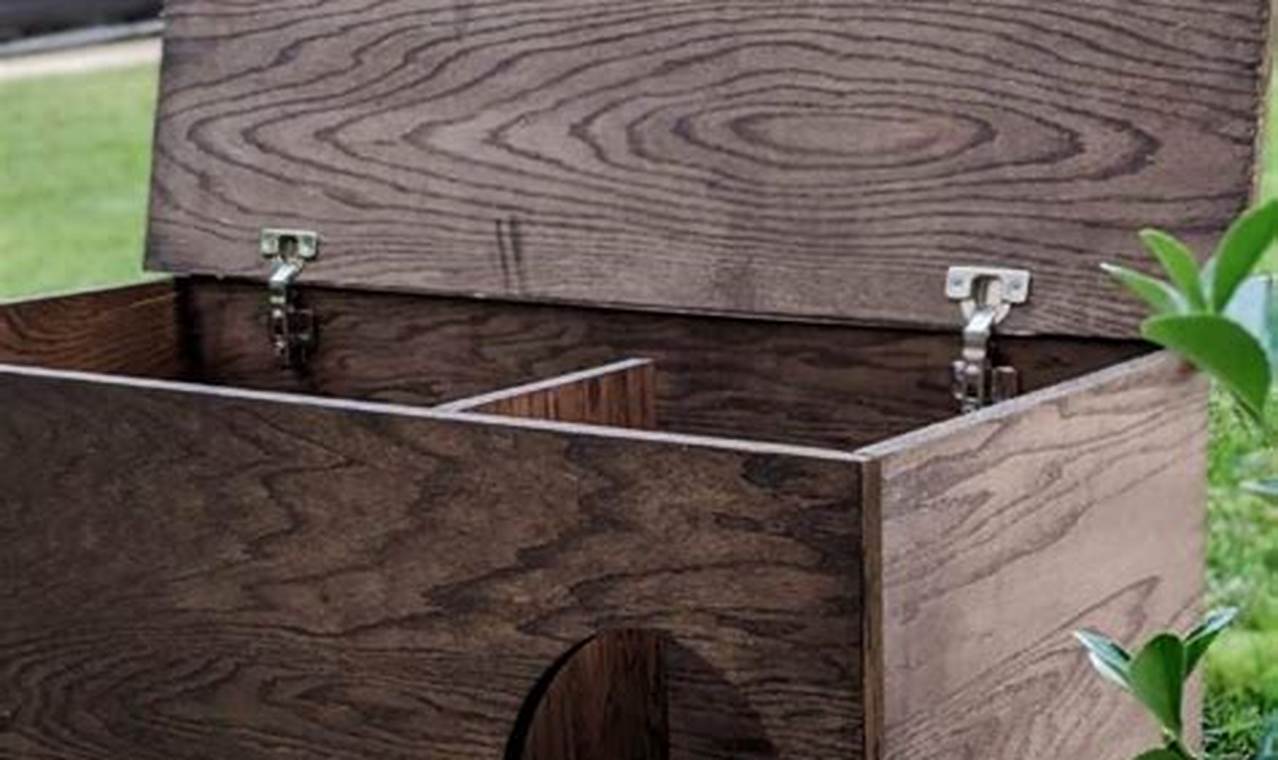 Best DIY Cat Litter Box Enclosure Ideas: Plans & More!