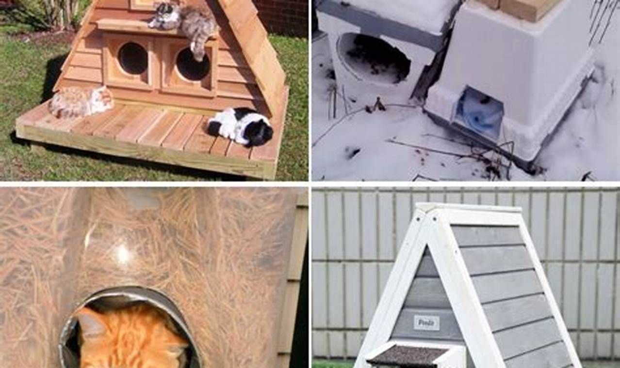 Build a Better Outdoor Cat House DIY Project for Your Feline