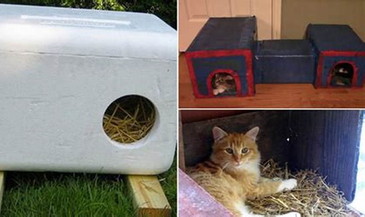 Build a Better Cat Home: DIY Outdoor Cat House Ideas & More!